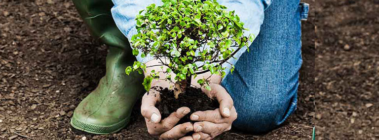 AXA Parks | AXA NI supports sustainable, community-led projects